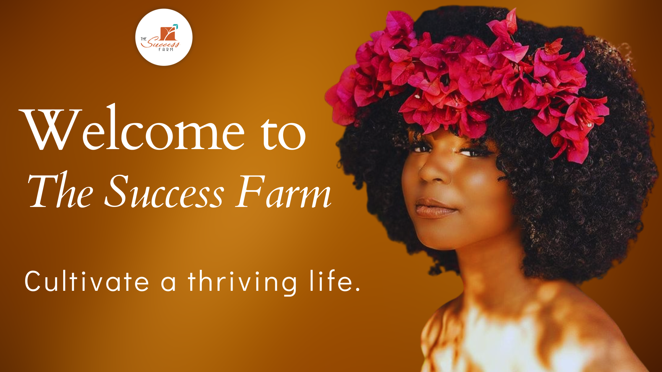 Homepage - The Success Farm